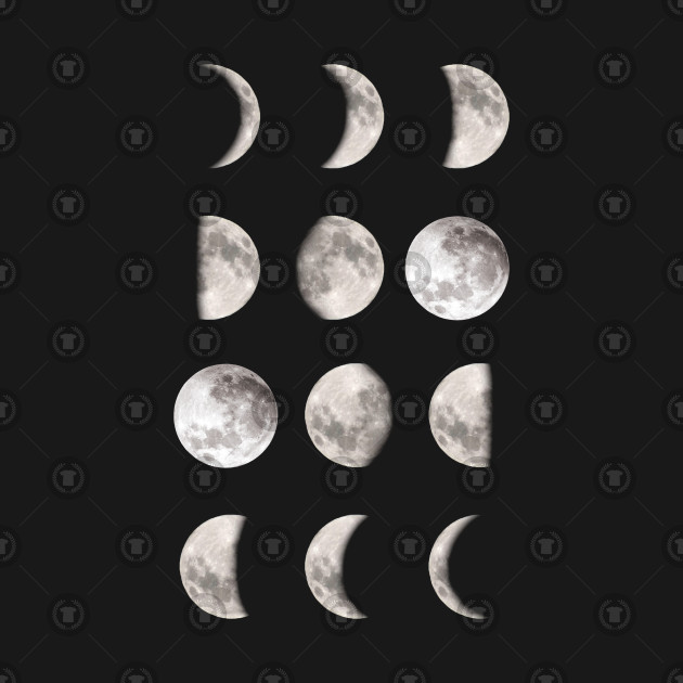 12 Moon Phases