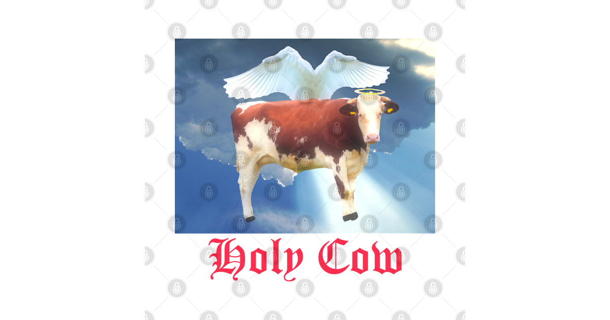 Holy Cow - Funny Hilarious Incredible Dad Joke Meme Tee - Funny - T ...