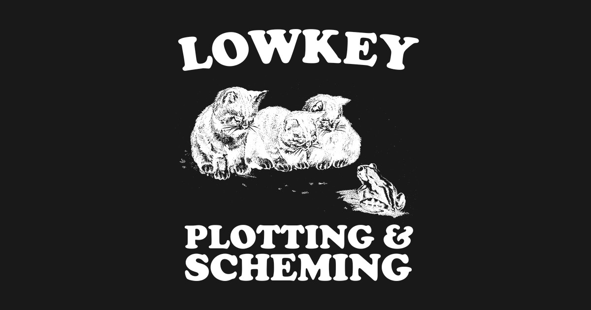Lowkey Plotting and Scheming Vintage Style Shirt, Retro Cartoon T Shirt, Weird T Shirt, Meme ...