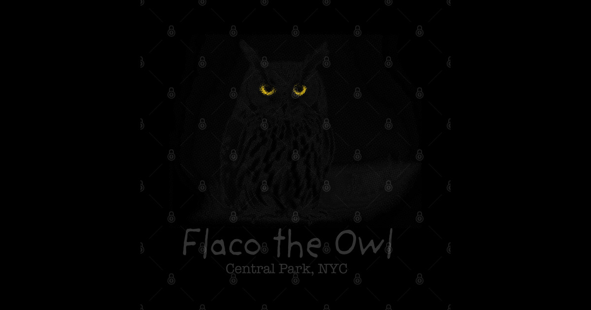 Flaco the Owl - Flaco - Sticker | TeePublic