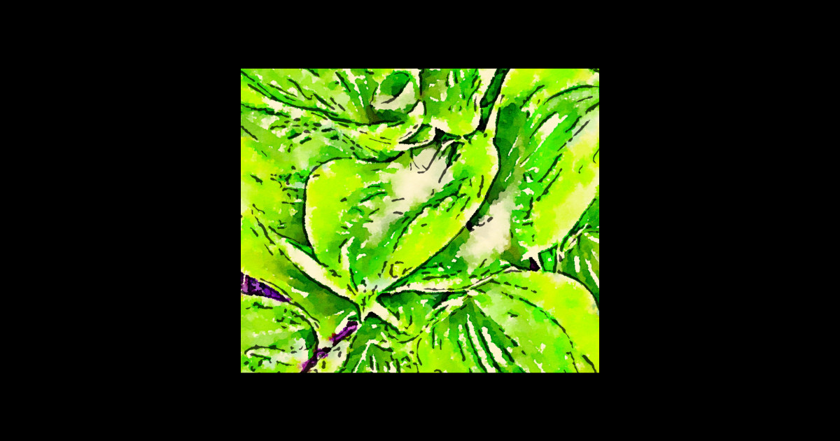Tropical inspired hosta print - Hosta - Sticker | TeePublic