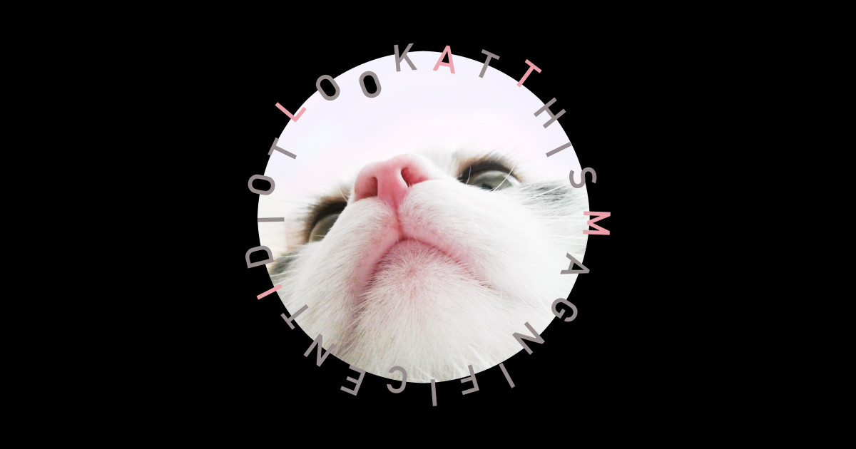 magnificent cat - Cat - Posters and Art Prints | TeePublic