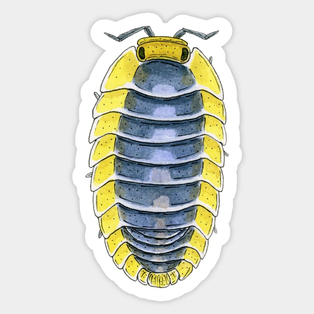 Cubaris sp. "Lemon Blue" Isopod - Isopod - Sticker | TeePublic