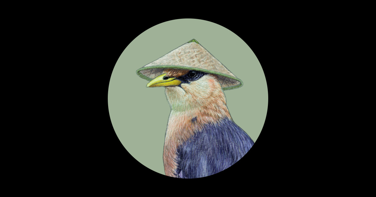 Burmese myna - Birds In Hats - Sticker | TeePublic