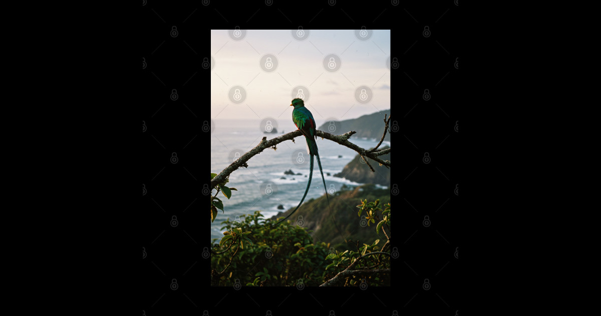 Quetzal Bird - Quetzal Bird - Sticker | TeePublic