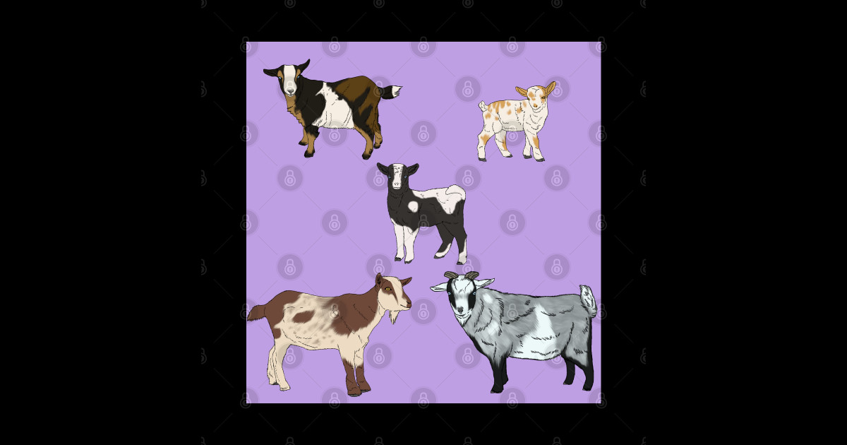 Purple Nigerian Dwarf Goats Pattern - Goats - Sticker | TeePublic