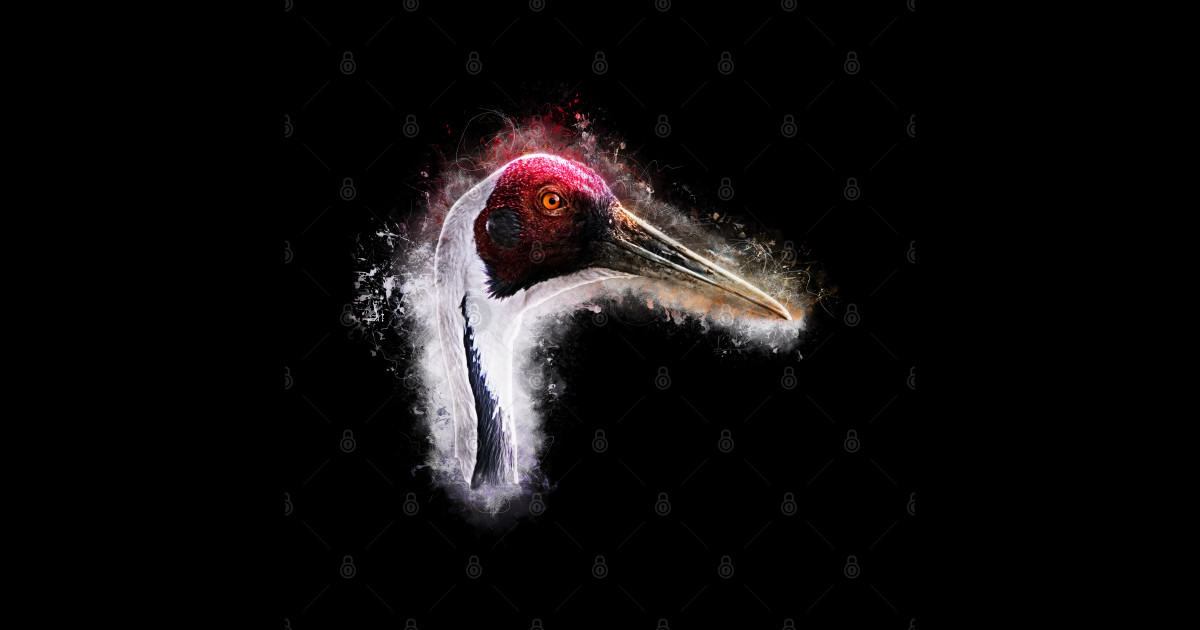 White-Naped Crane - Crane Bird - Sticker | TeePublic