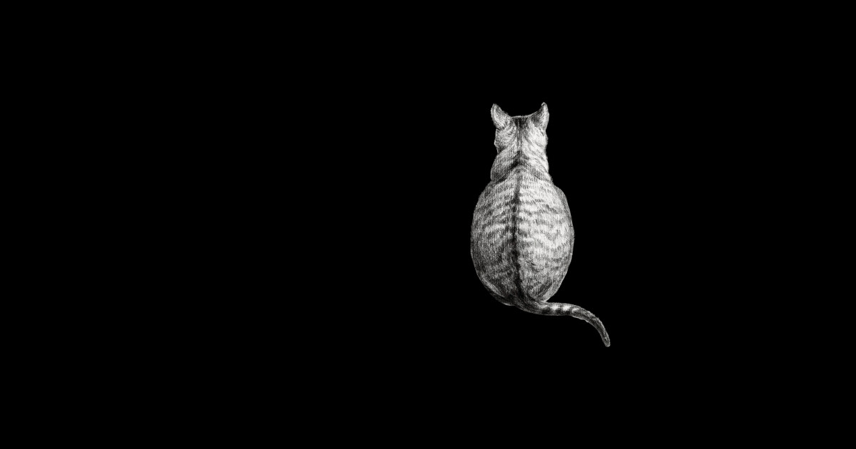 Lispe No. Shan't. Lazy Cat - Cat - Sticker | TeePublic