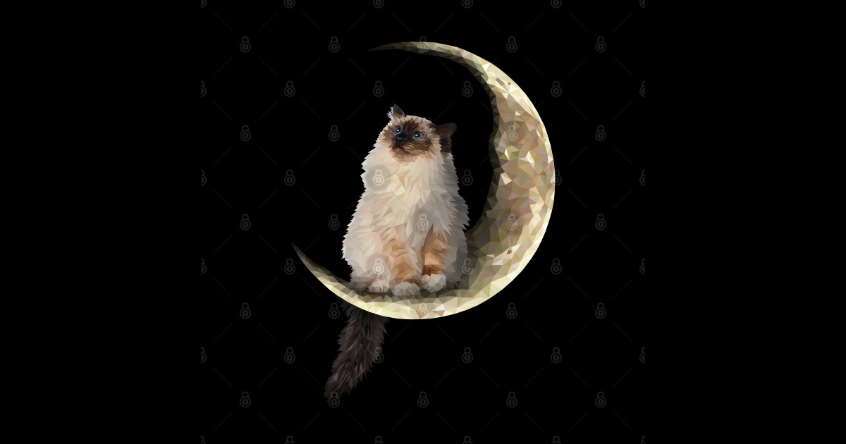 Mooncat - Cat - Sticker | TeePublic