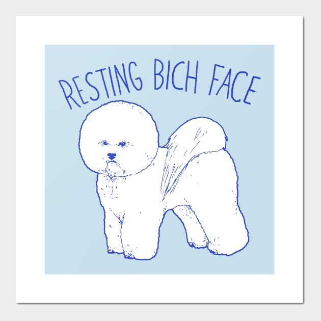 Resting Bich Face - Bichon Frise - Posters and Art Prints | TeePublic