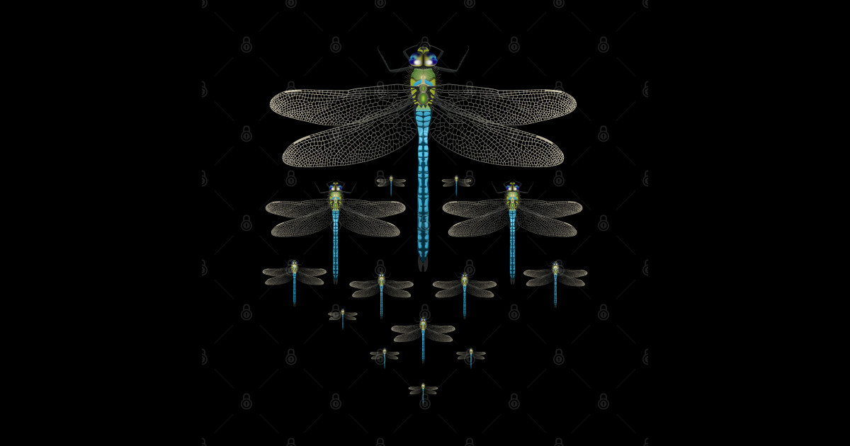 Dragonflies in formation! - Dragonflies Dragonfly Insect Animal ...