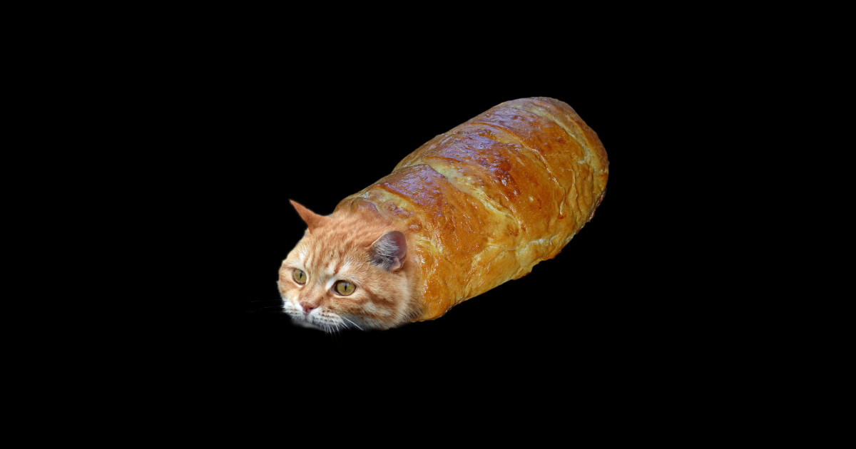 Cat Loaf Kitty Kitten Bread Breadloaf Cats Funny - Cat Loaf Kitty ...