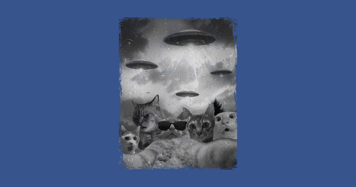 Cat Selfie With Alien UFO Funny Cat Meme - Cat Selfie With Alien Ufo ...