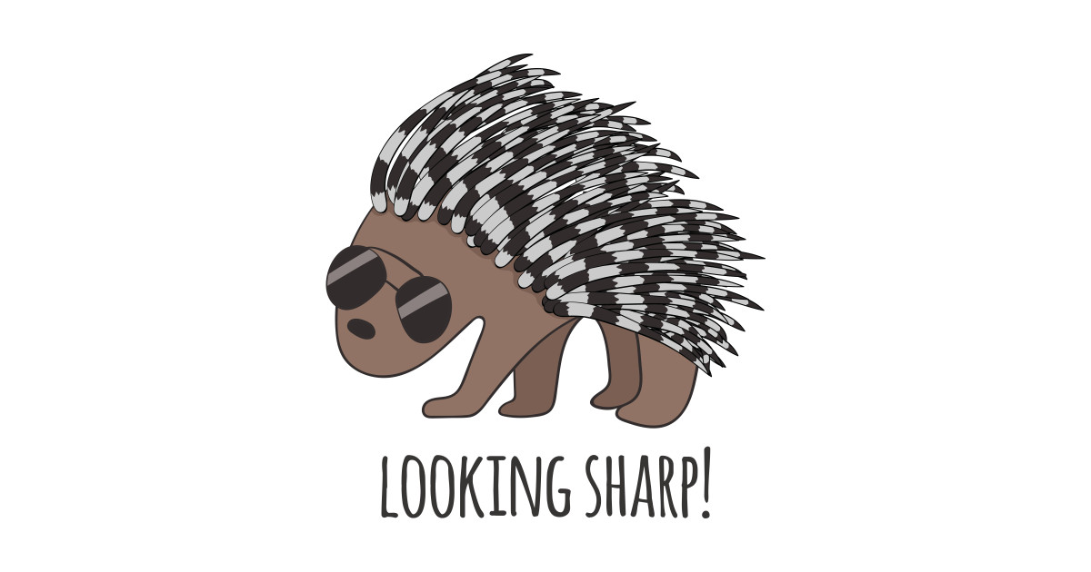 Looking Sharp- Porcupine - Porcupine - T-Shirt | TeePublic