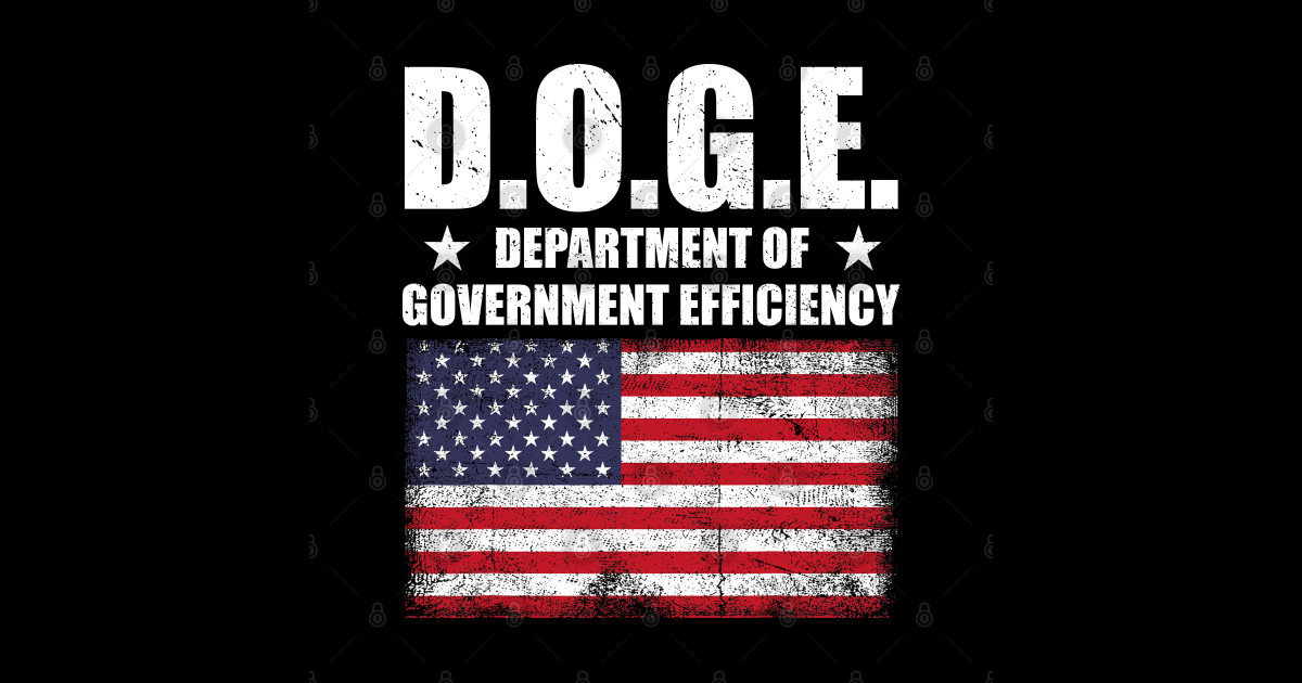 DOGE Department of Government Efficiency D.O.G.E. Government ...