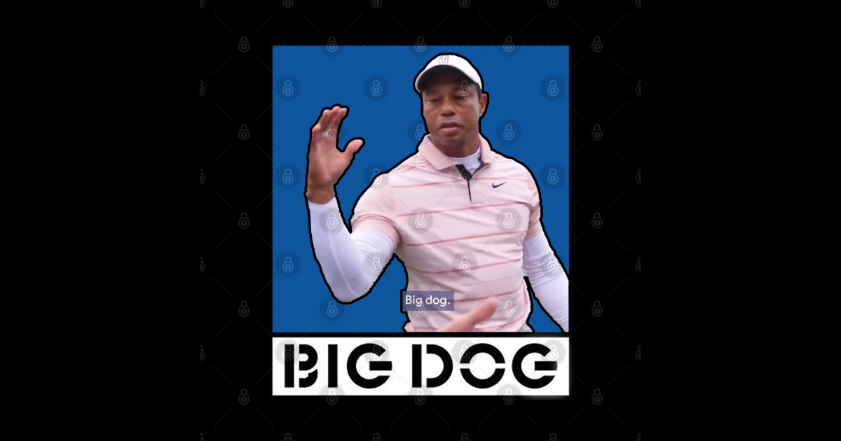 Tiger Woods "Big Dog" Meme - Big Dog - Sticker | TeePublic