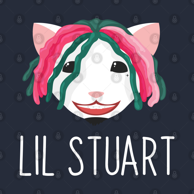 LiL StuarT - Movie - Hoodie | TeePublic