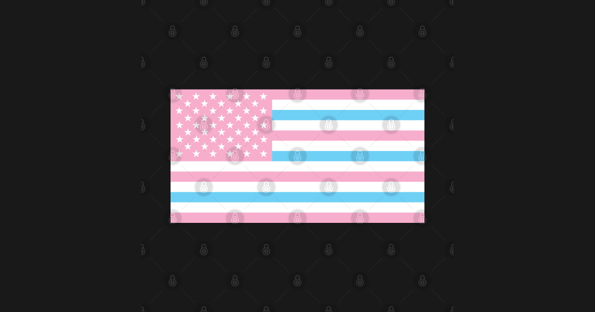 TRANSGENDER USA FLAG - PALE BLUE, WHITE AND PINK TRANSGENDER FLAG ...