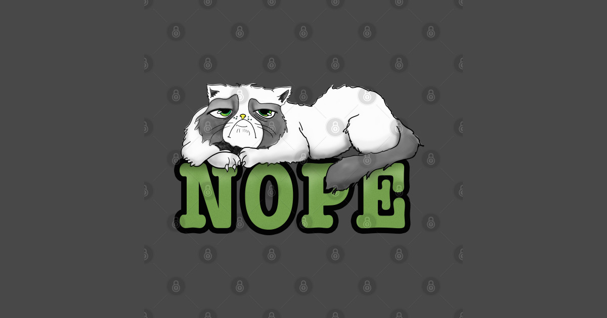 Nope - Nope Not Today - T-Shirt | TeePublic
