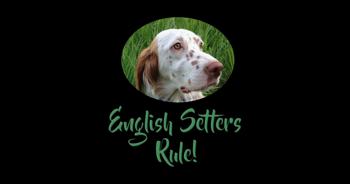English Setters Rule! - English Setter - Posters and Art Prints | TeePublic