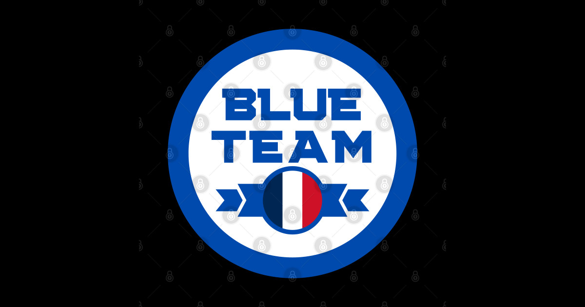 Cybersecurity Blue Team France Gamification Badge CTF - Cyber Security ...