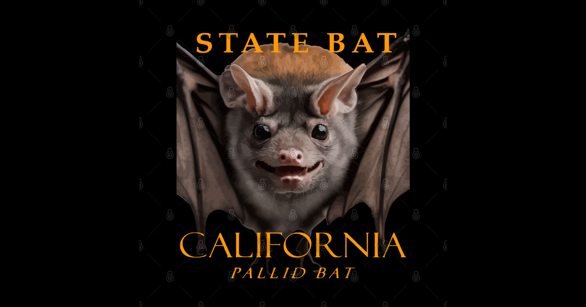 California Territory Bat The Pallid Bat - California Love - Sticker ...
