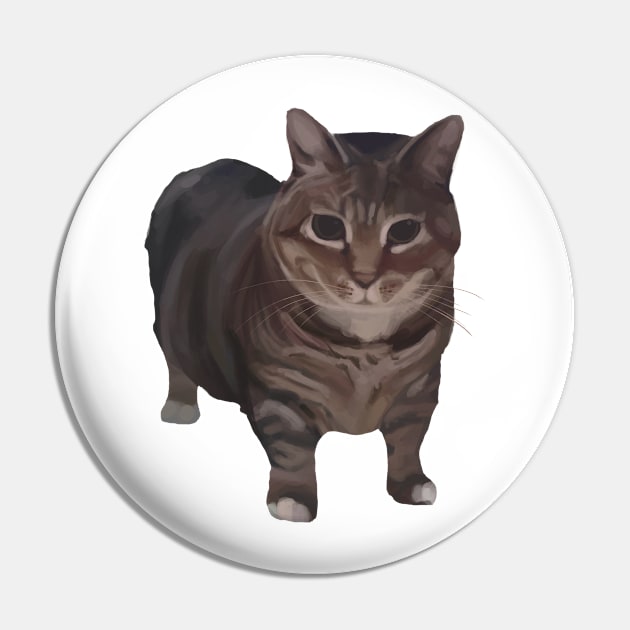 Spinning Cat Meme / OIIAI Cat / UIIAI Cat / OIIA Cat / UIIA Cat - Meme ...