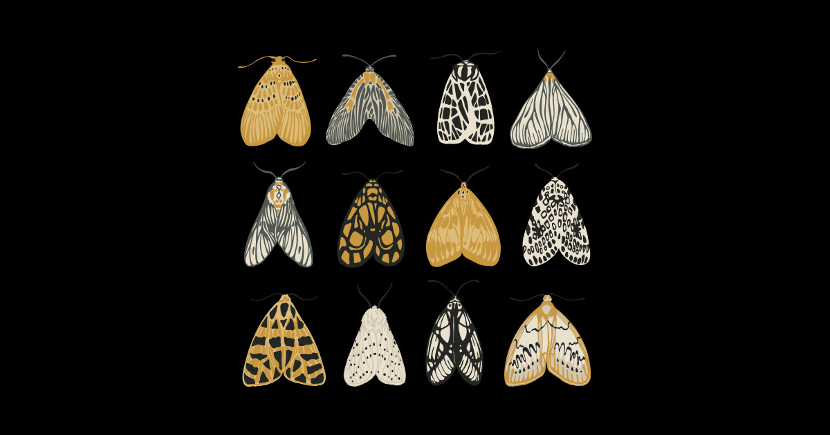 Moth cottagecore, fairycore and goblincore insect moon child - Moth ...