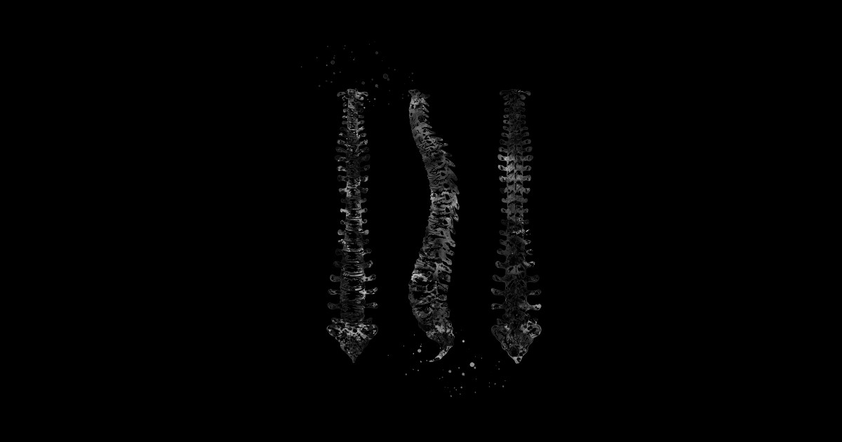 Human Spine - Human Spine - Sticker | TeePublic