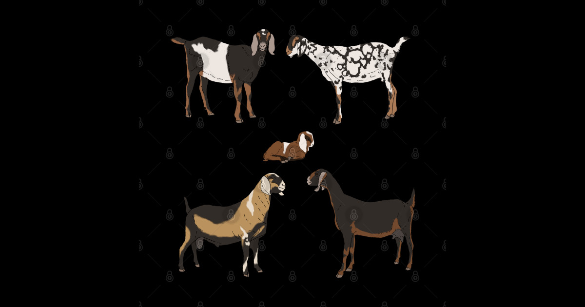 Nubian Goats Pattern Transparent - Goats - Sticker | TeePublic