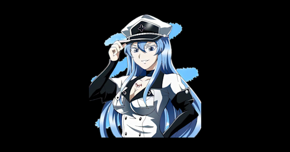 Akame Ga Kill Smiling Esdeath Waifu - Akame Ga Kill Smiling Esdeath ...