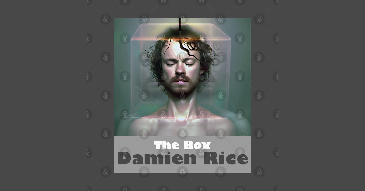 Damien Rice The Box - Damien Rice - T-Shirt | TeePublic