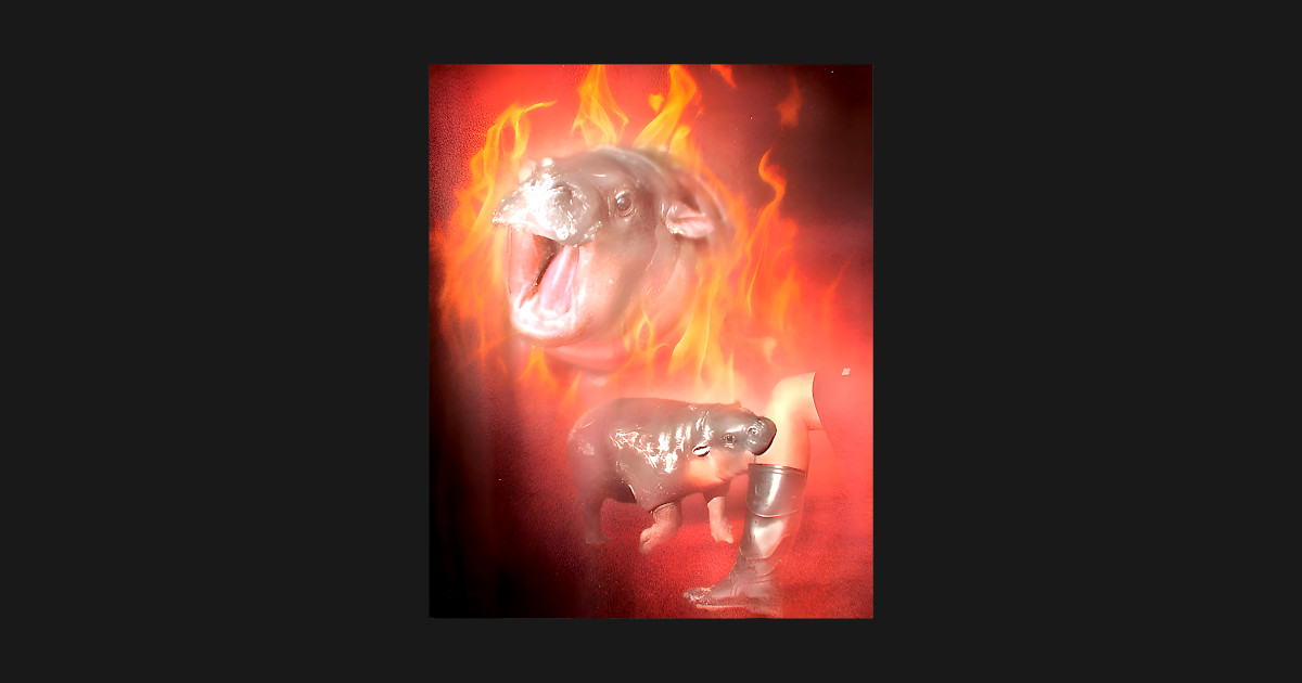 Moo Deng Bouncy Pig in Thai Fire Picture The Cute Baby Hippo - The Cute ...