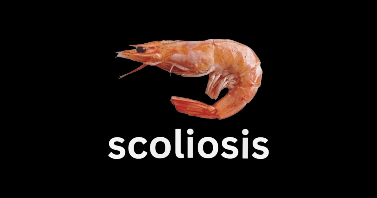 Scoliosis Shrimp Funny Meme - Scoliosis Shrimp - Sticker | TeePublic