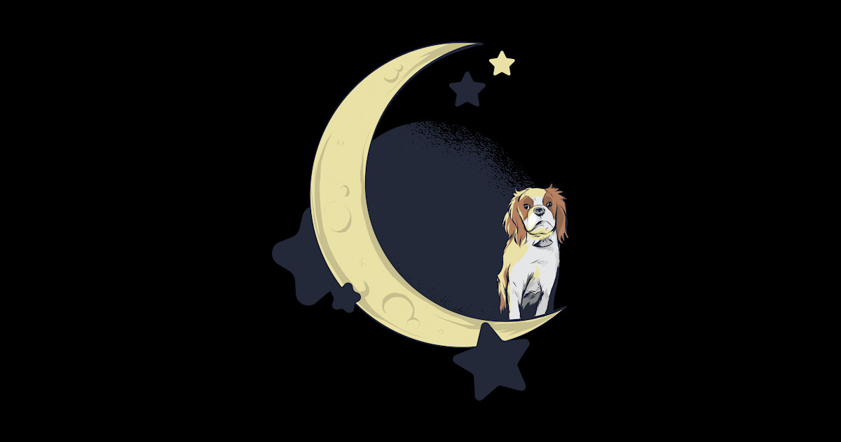 Cavalier King Charles Spaniel At The Moon - Cavalier King Charles ...