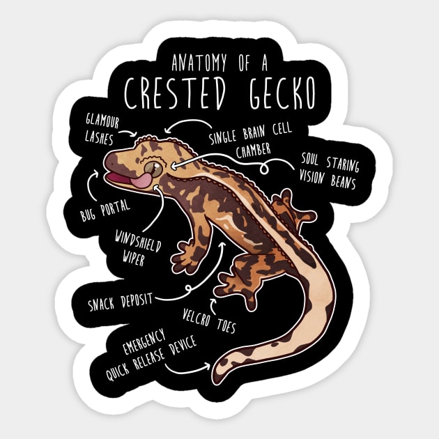 Crested Gecko Lizard Reptile Anatomy - Crested Gecko - Sticker | TeePublic