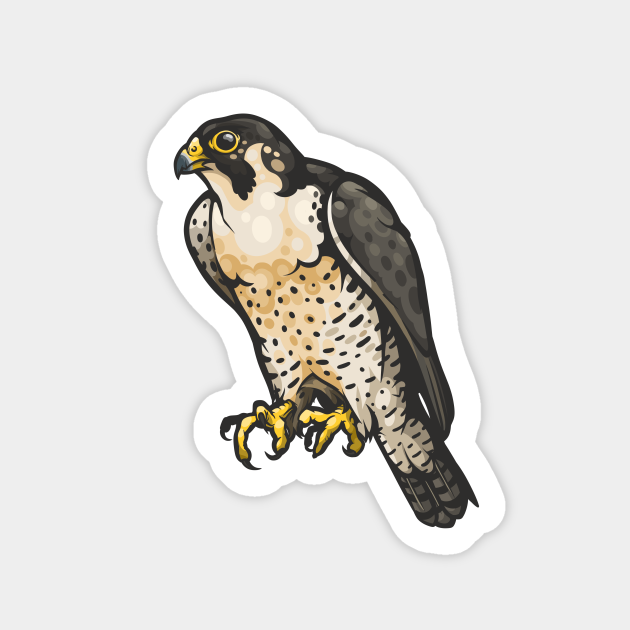 Peregrine Falcon - Bird - Sticker | TeePublic