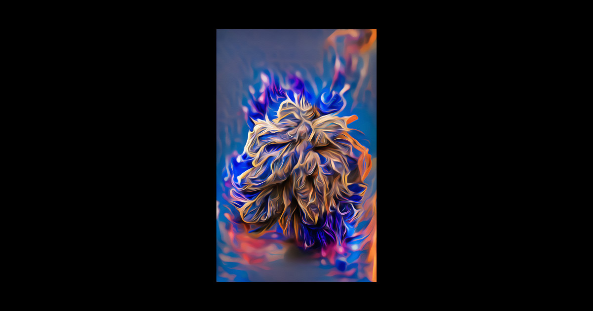 Blue Bolstered Dripping Nug 420 Weed Cannabis - 420 - Sticker | TeePublic