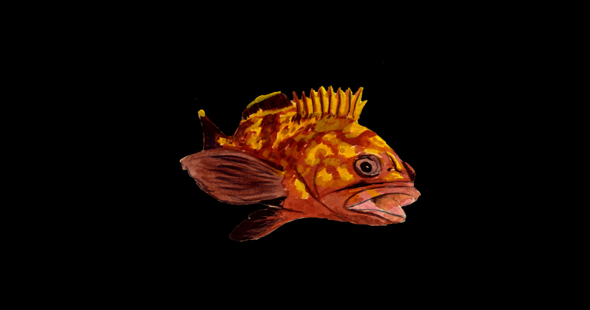 grouper - fish - Lull - Sticker | TeePublic