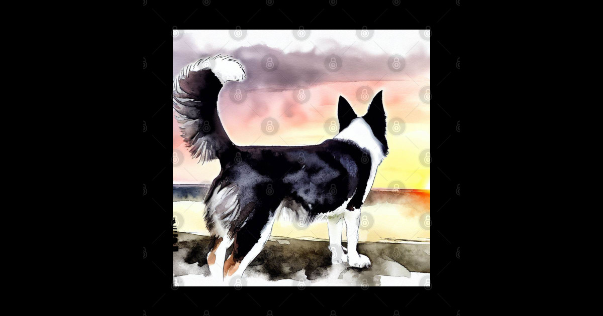 Border Collie Sunset - Sunset With My Border Collie - Posters and Art ...