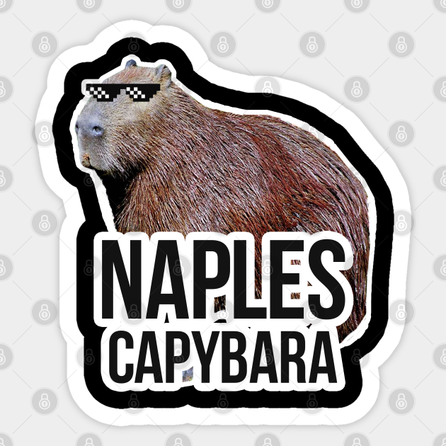 Naples capybara meme - Naples - Sticker | TeePublic