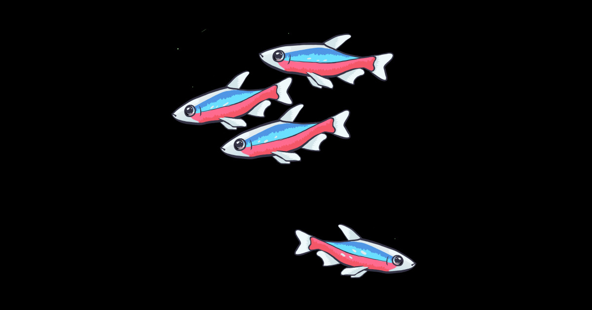 Cardinal Tetra Schooling tetra community fish design - Rasbora ...