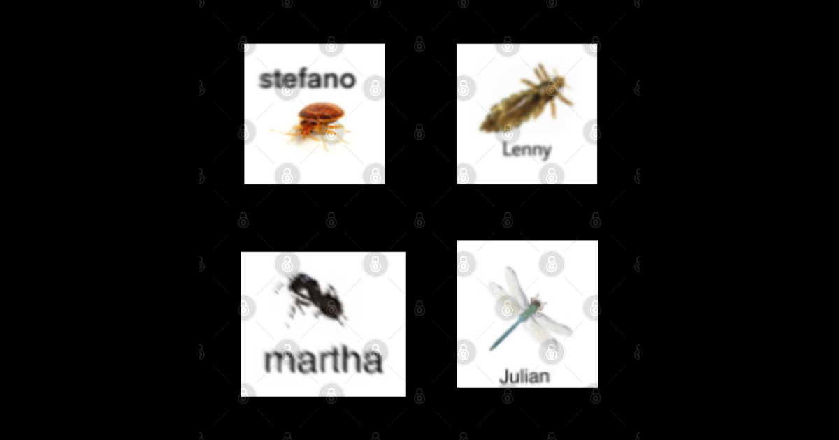 bugs with names 2 - Stefano - Sticker | TeePublic