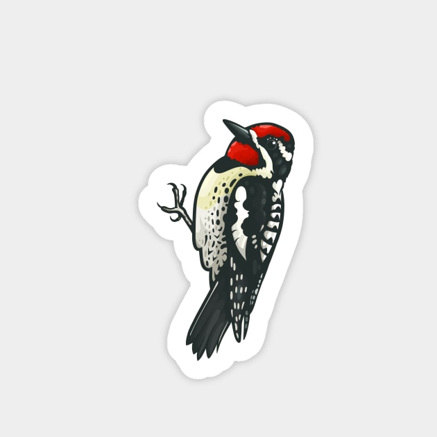 Yellow-Bellied Sapsucker - Bird - Sticker | TeePublic