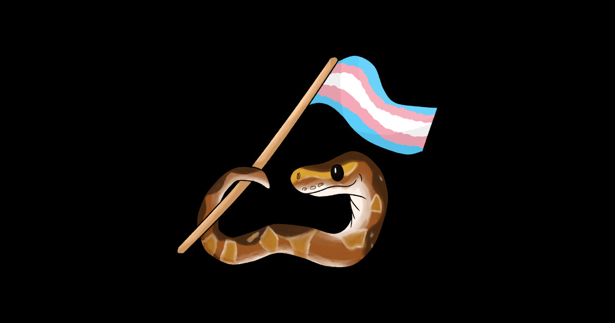 Ball Python Pride [Normal Morph, Transgender] - Ball Python - Sticker | TeePublic