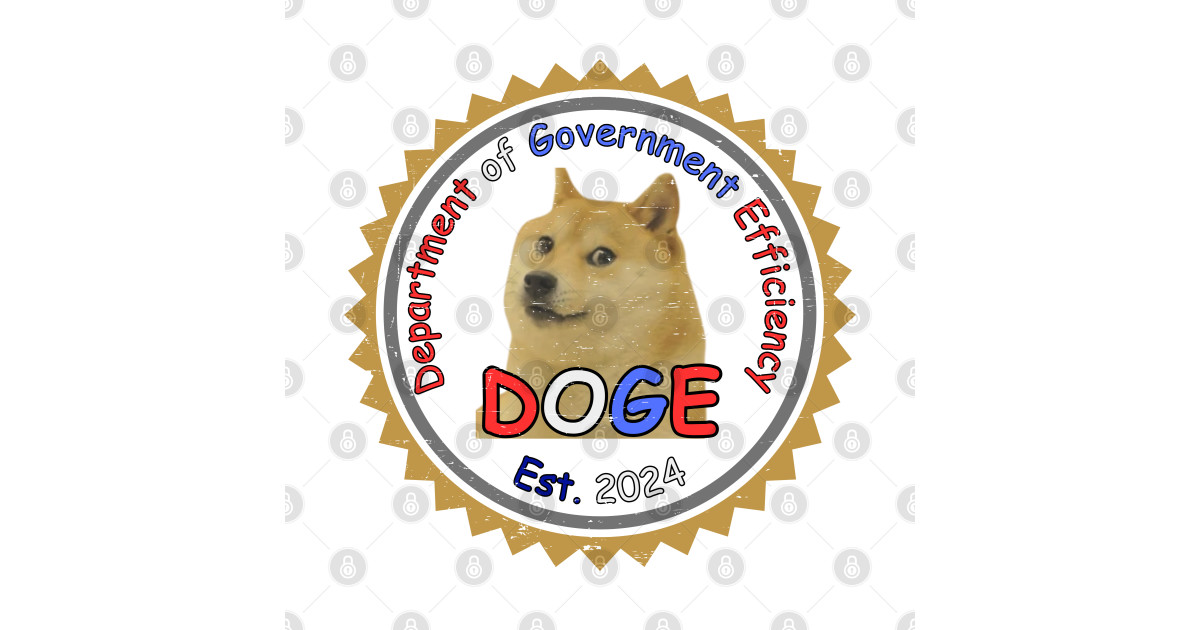 DOGE - Dept. of Government Efficiency! - Doge - T-Shirt | TeePublic
