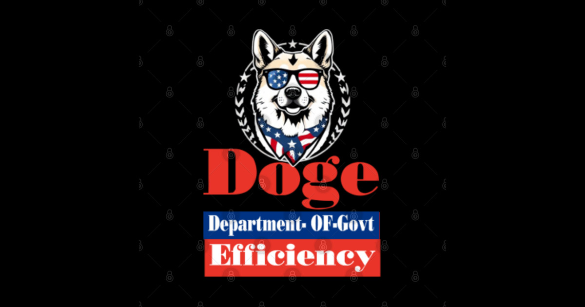 doge department of government efficiency - Doge Department Of Govt ...