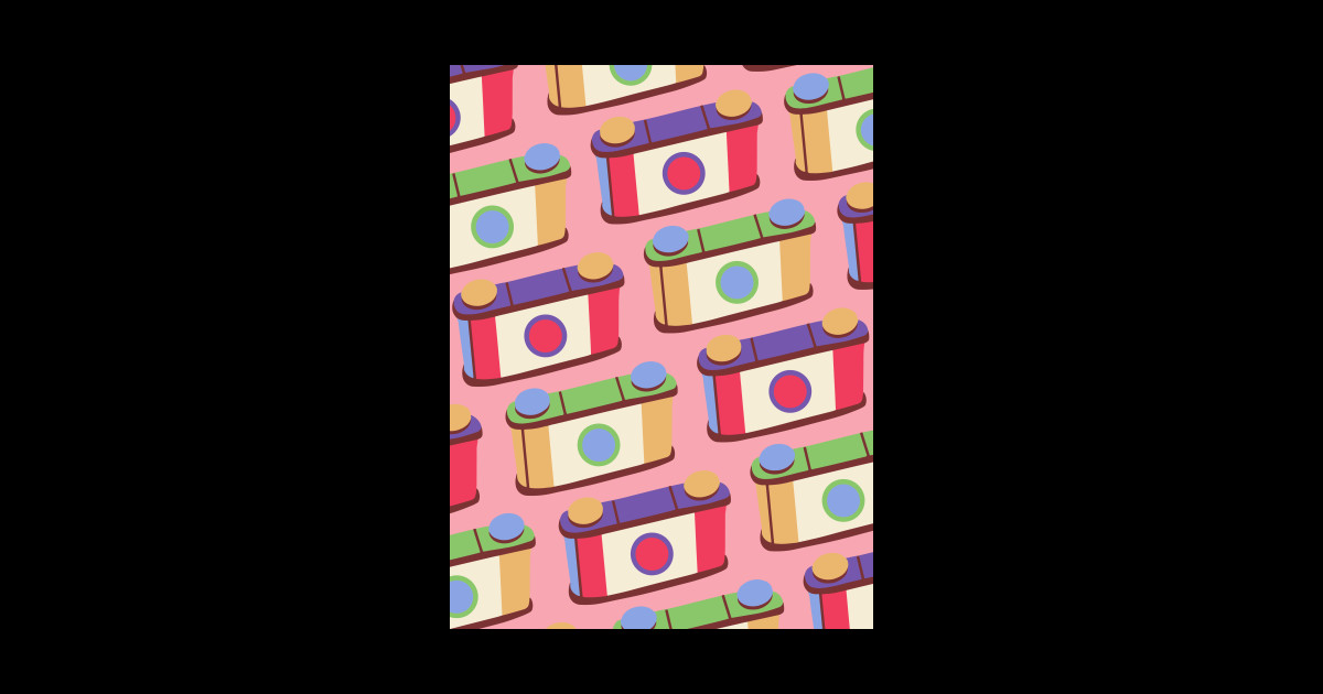 Retro Pinhole Camera Pattern - Spring Seasonal Color Palette - Pinhole ...