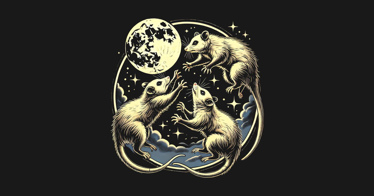 Three Possum Moon - Possum - T-Shirt | TeePublic