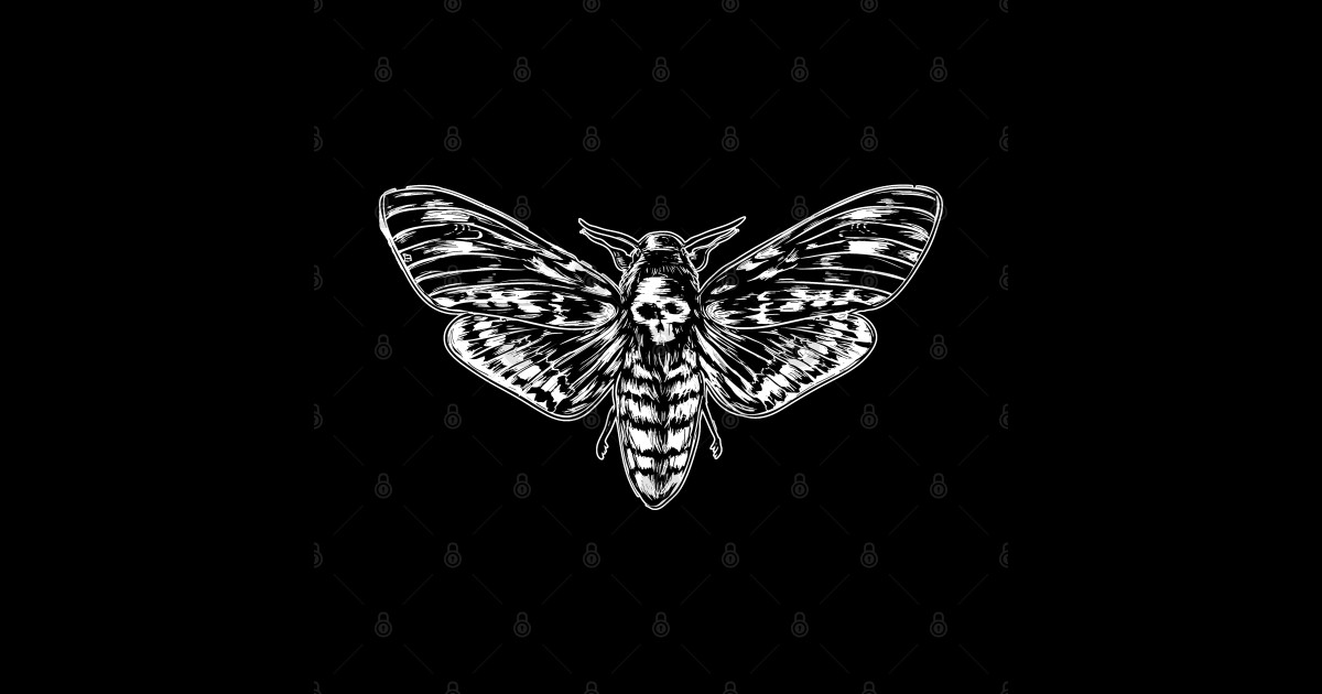 Death head Moth - Moth - Magnet | TeePublic